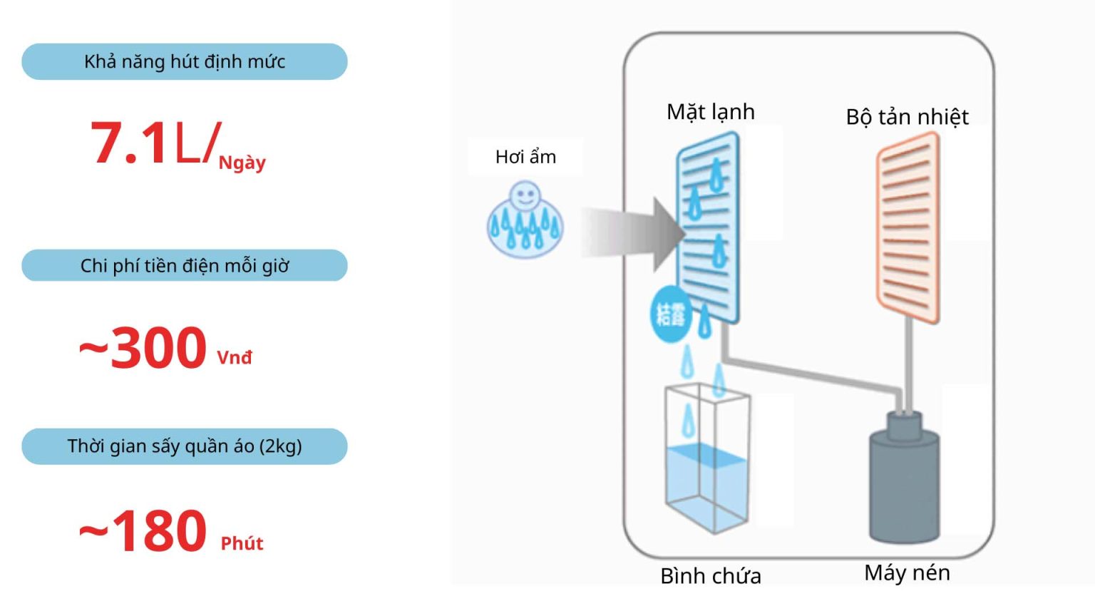 Máy hút ẩm Sharp CV-P71